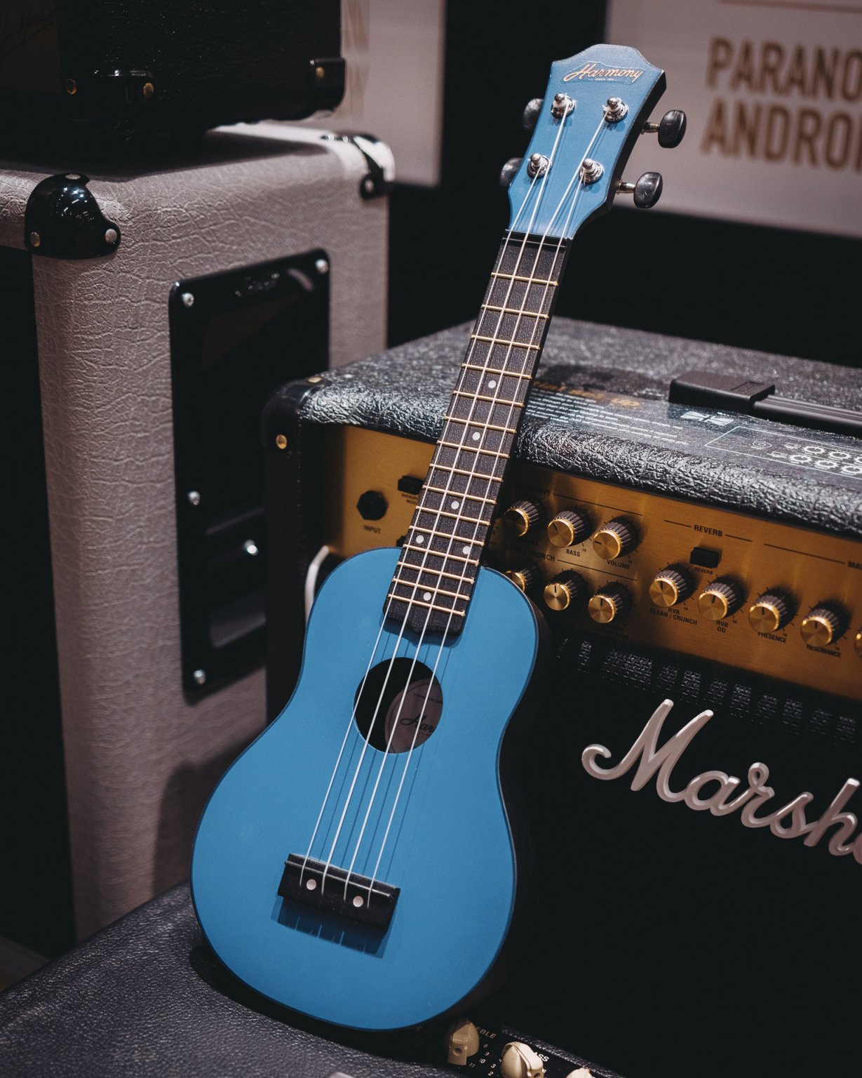 Harmony Introduces Sierra Ukuleles - Swee Lee Blog